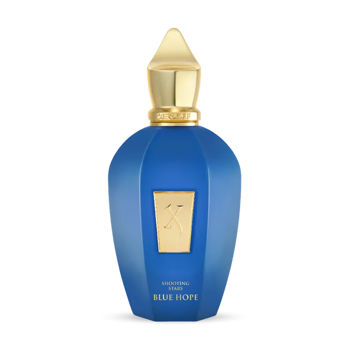 Blue Hope 100ml Parfum